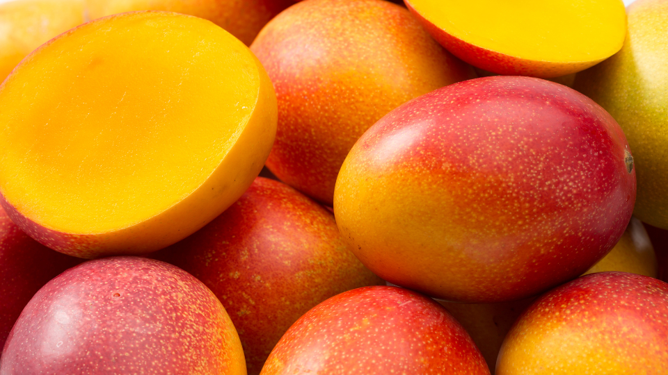 Mango – Letras & Poesía